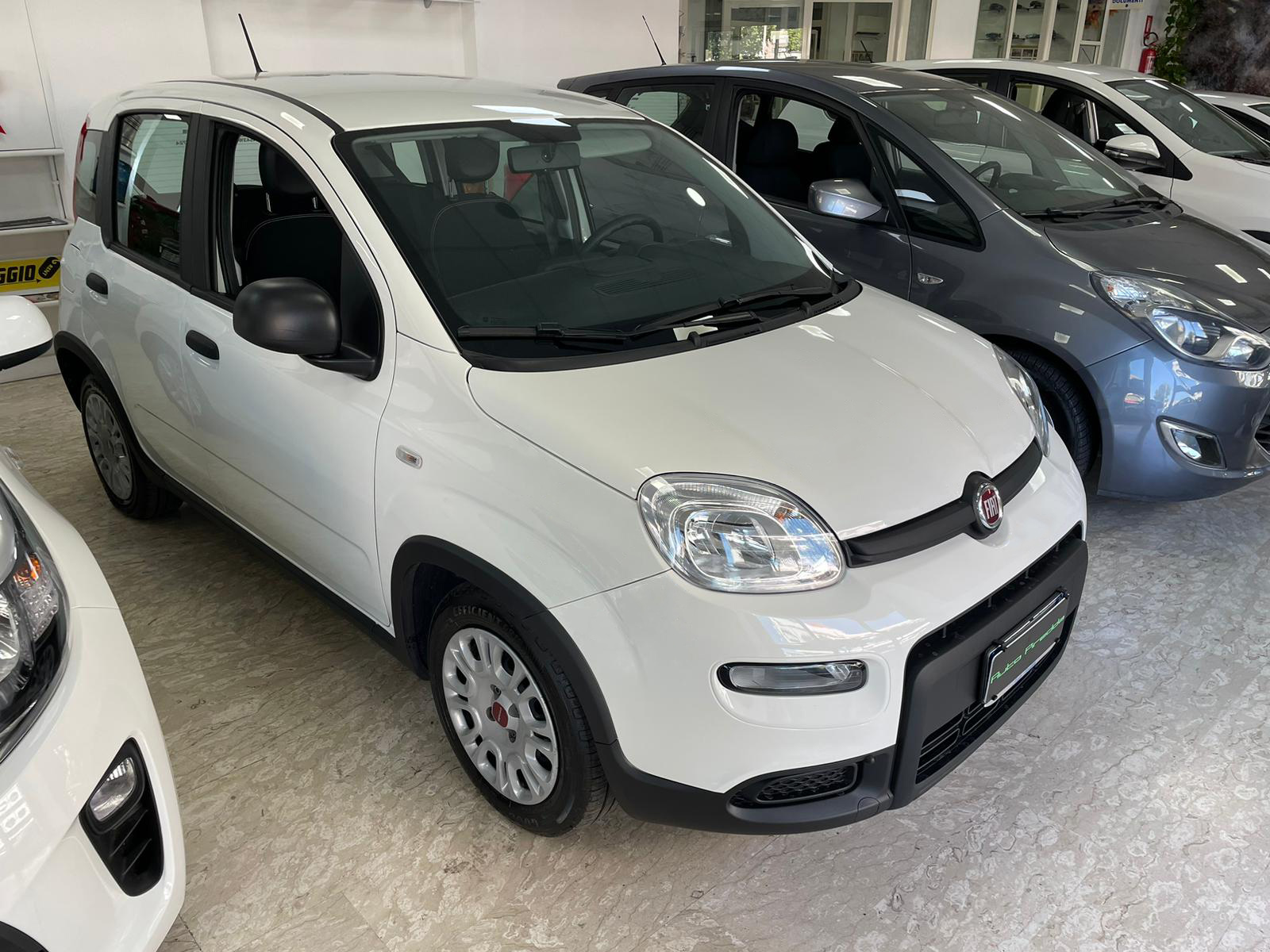 Fiat Panda 1.0 FireFly Hybrid EURO 6D - Scheda tecnica - Auto Piredda